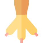 Chicken Feet Wholesale - Wholesalers in South Africa